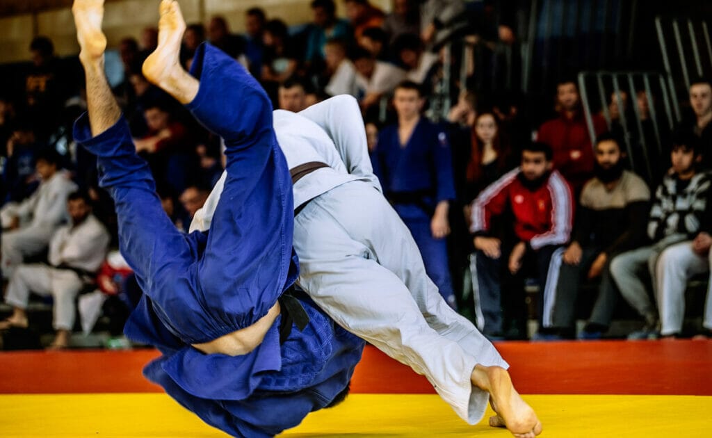 Different MMA Fighting Styles | Borgata Sports Online